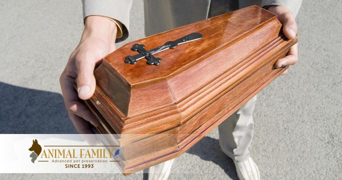How Much Does Pet Cremation Cost how-much-does-pet-cremation-cost
